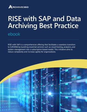 RISE with SAP and Data Archiving Best Practice.
